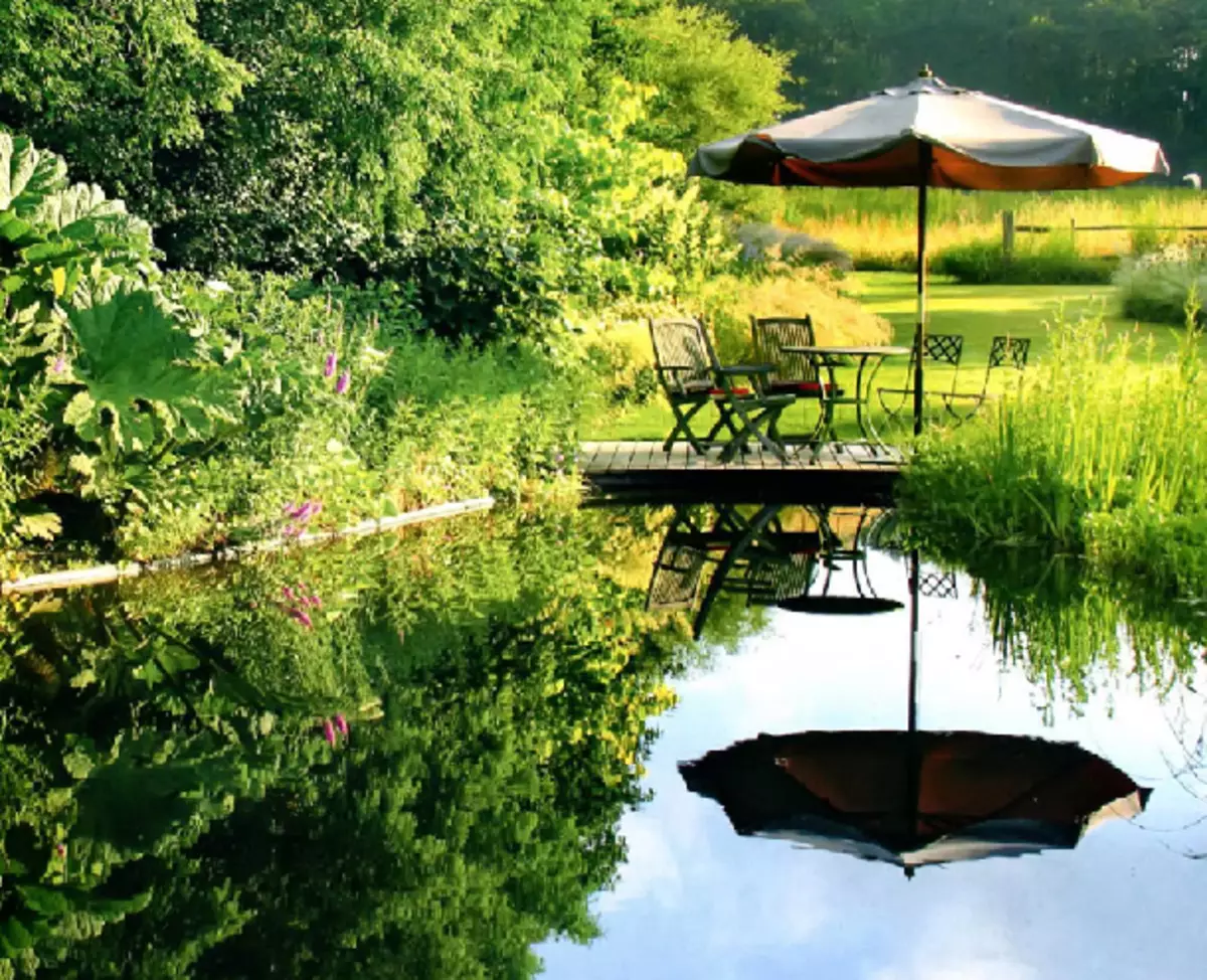 Teich im Land mit ihren eigenen Händen 3592_1