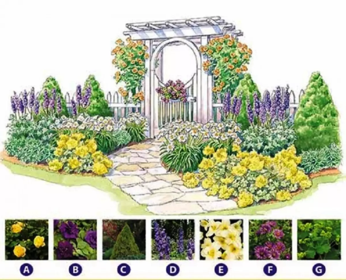 Awọn Flowerbeds ni orilẹ-ede + awọn fọto ati awọn igbero 3603_29