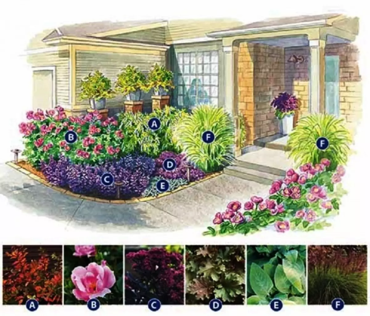 Awọn Flowerbeds ni orilẹ-ede + awọn fọto ati awọn igbero 3603_36