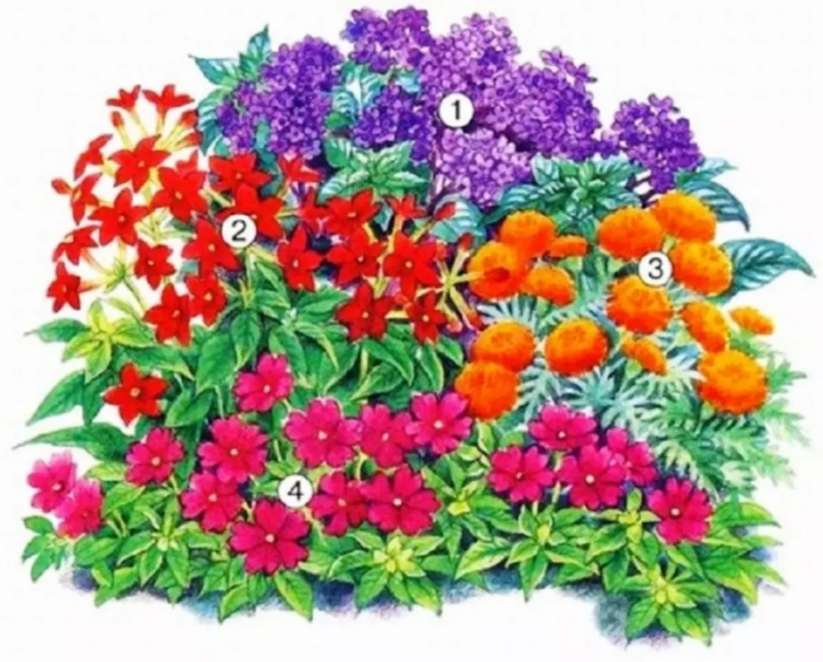 Awọn Flowerbeds ni orilẹ-ede + awọn fọto ati awọn igbero 3603_38