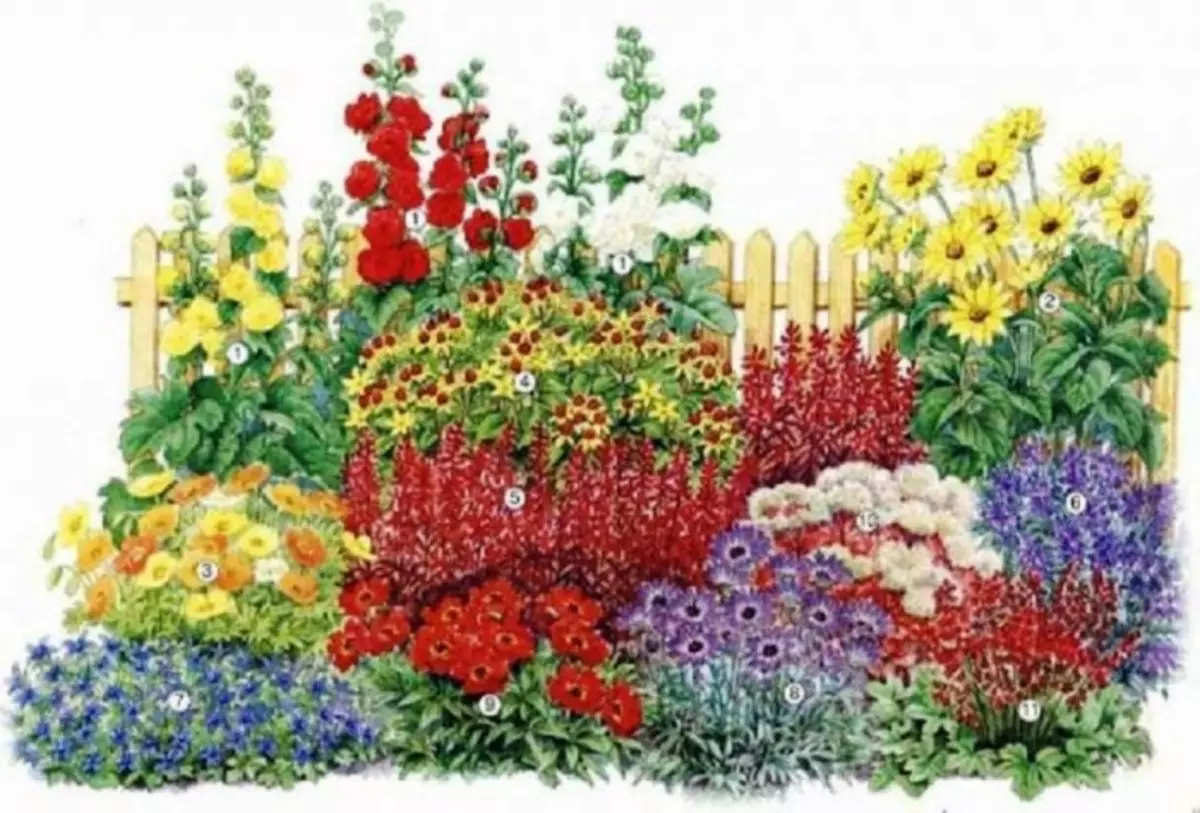 Flowerbeds ในประเทศ + ภาพถ่ายและรูปแบบ 3603_39