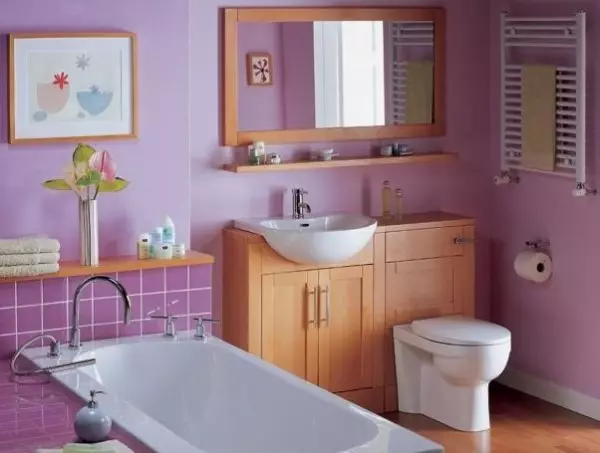 Vannas istabas krāsas ūdensnecaurlaidīga, akrila, atsauksmes + Foto 3639_1