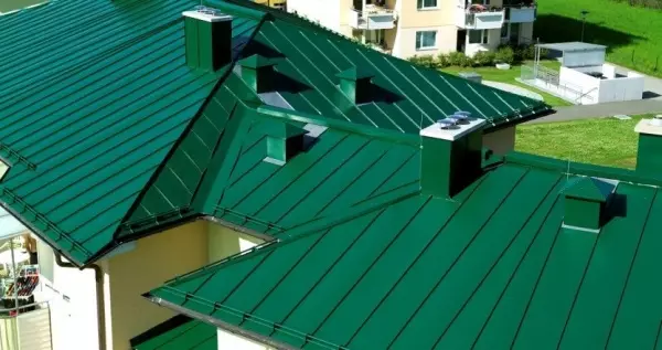 Apa jenis cat bumbung yang lebih baik untuk dipilih: getah, karat 3653_1