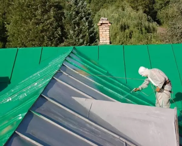 Apa jenis cat bumbung yang lebih baik untuk dipilih: getah, karat 3653_3