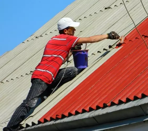Apa jenis cat bumbung yang lebih baik untuk dipilih: getah, karat 3653_6