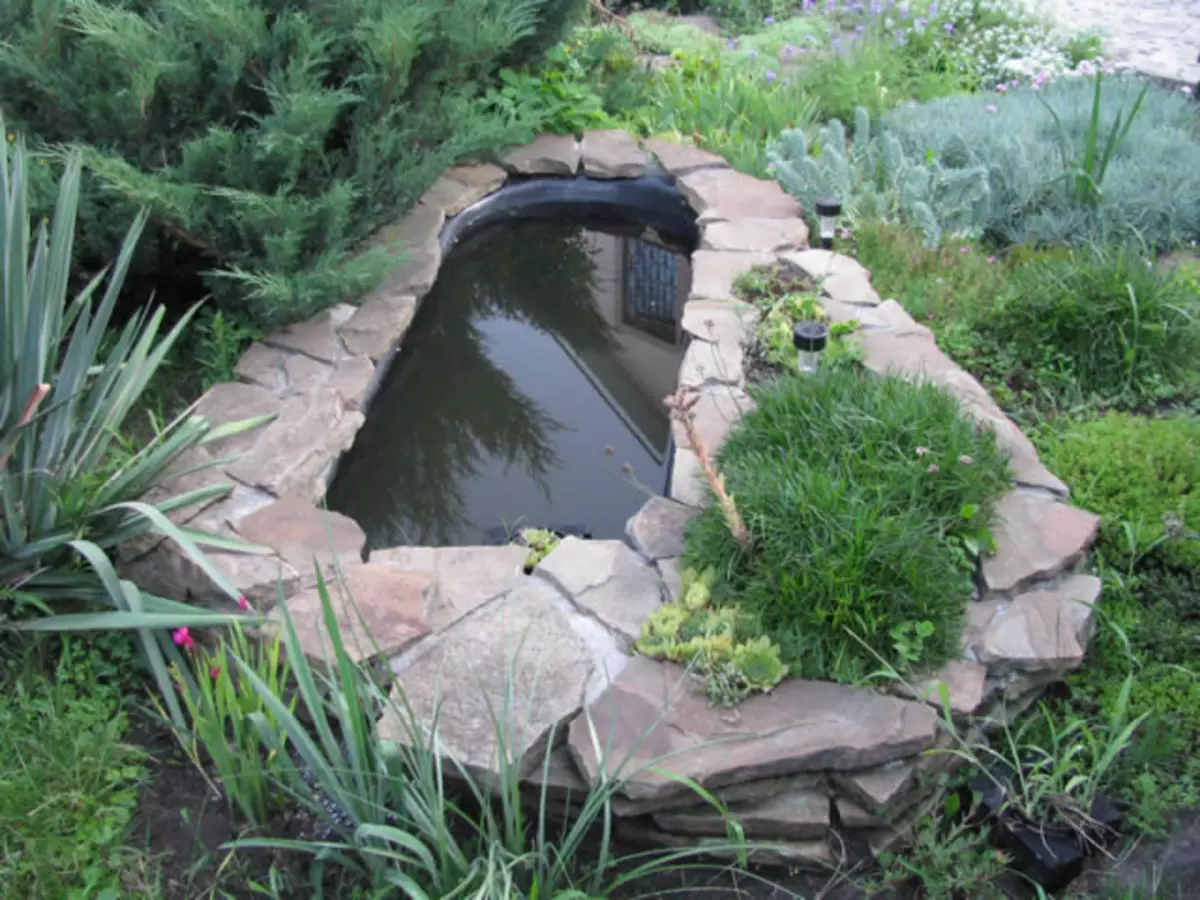 Jak udělat rybník ze staré koupele to udělat sami