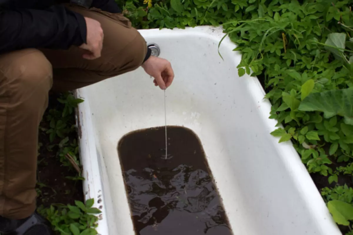 How to make a pond from the old bath do it yourself