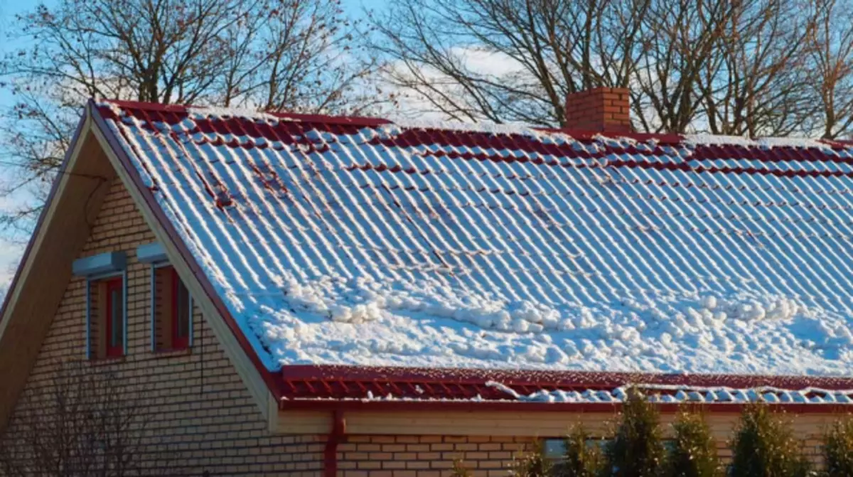 پروفیشنل فرش اور دھاتی ٹائل: چھت کے لئے کیا بہتر ہے