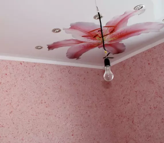 Wallpaper lichid.