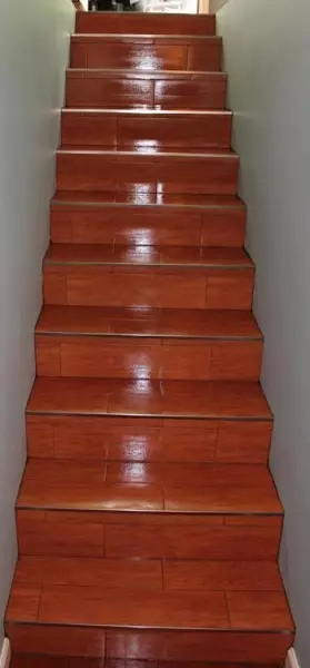 Ploščica za stopnice stopnice znotraj doma 4241_8