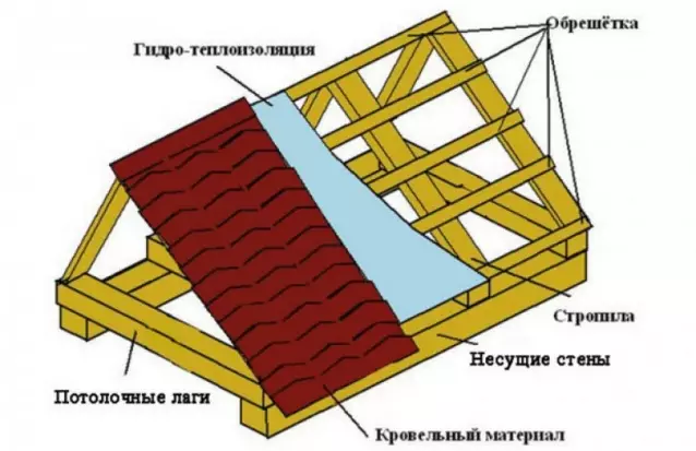 Mu siga lori awọn adie 50 + fọto 4318_17