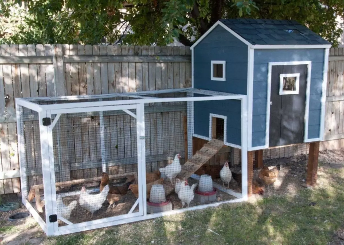 Chicken coop on 15 chickens 4322_1