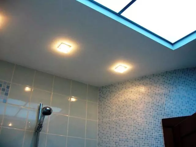 Plasterboard ceiling in the bathroom: photos and reviews