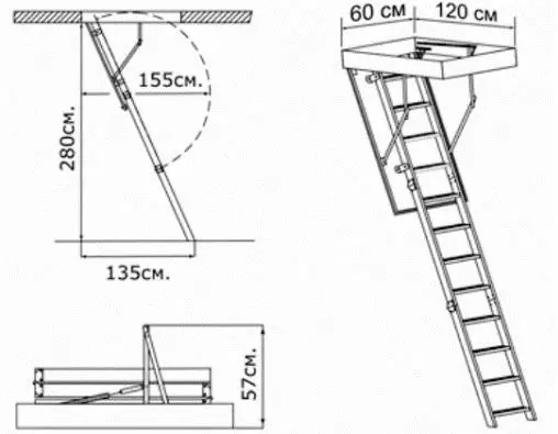 Diagrami i shkallëve të papafingo