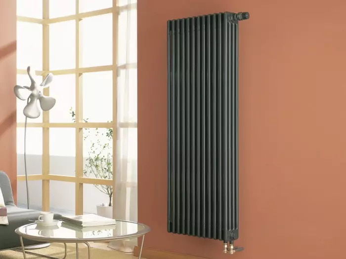 Vertikalus šildymo radiatorius 4752_13