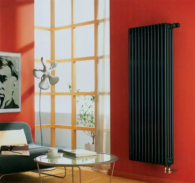 Vertikālā apkures radiators 4752_2