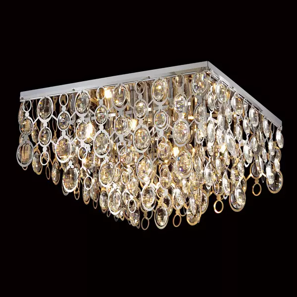 Crystal Chandelier + hoto 4829_10