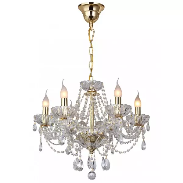 Crystal Chandelier + Photo 4829_12