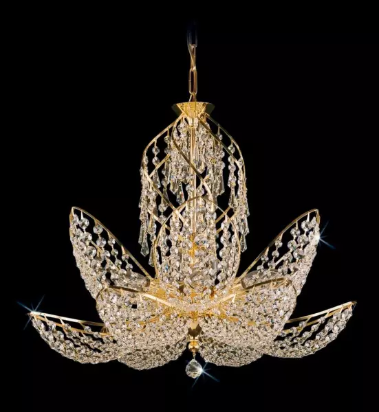 Crystal Chandelier + រូបថត 4829_18