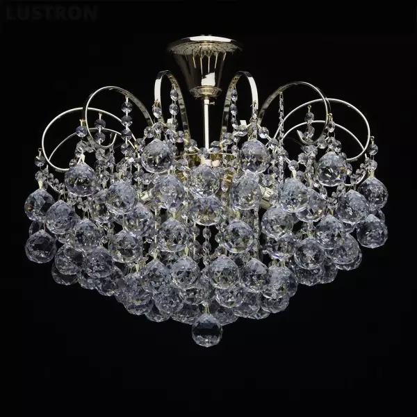 Crystal Chandelier + hoto 4829_25