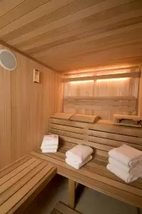 Wéi ee Mini Sauna am Appartement mat Ären eegenen Hänn ze maachen: Instruktiounen a Fotoen vun Sauna am Appartement 497_16
