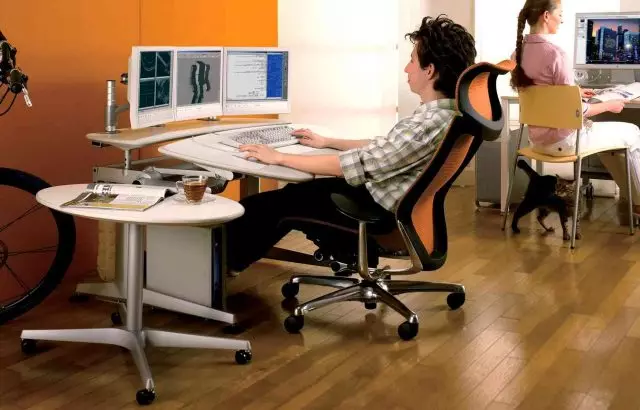 Cadeira informática: coiro, nenos, ortopédicos, en rodas, para oficina e casa