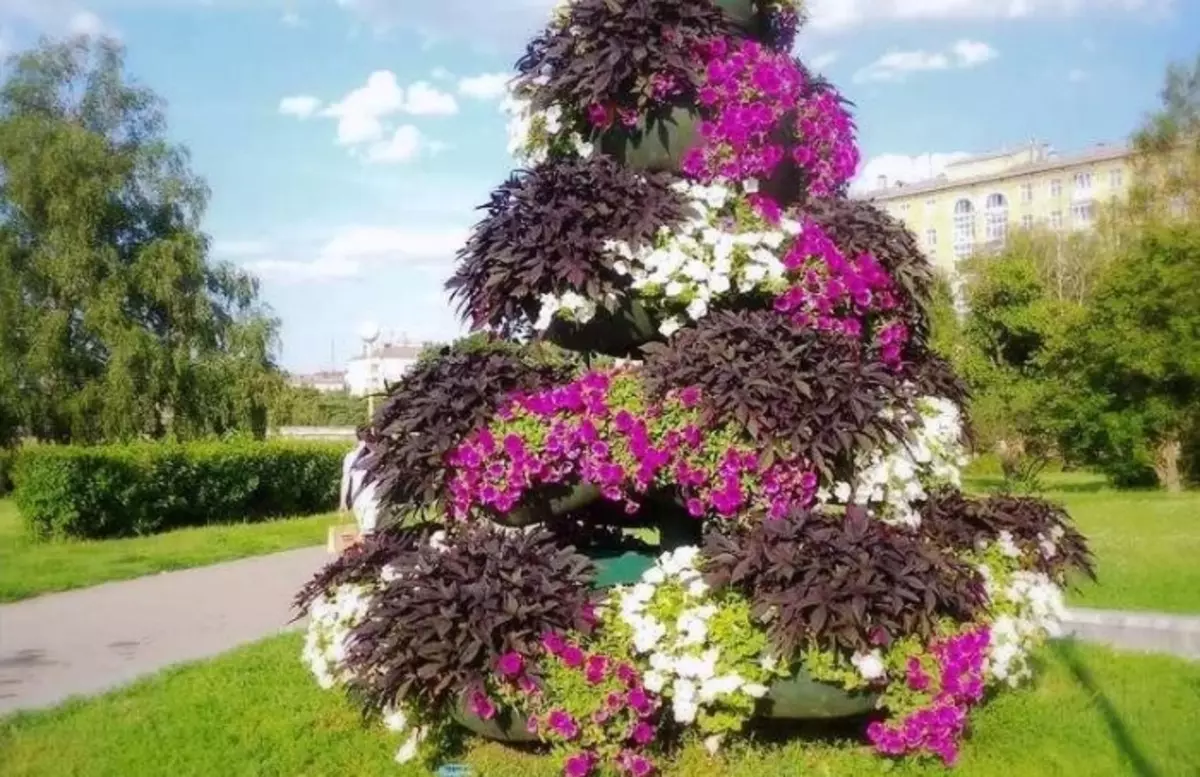 أسرة الزهور الجميلة وأسرة الزهور في البلاد بأيدها + الصورة والفيديو 509_14