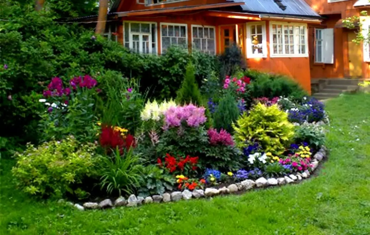 Schöne Blumenbeete und Blumenbeete im Land mit ihren eigenen Händen + Foto und Video 509_19