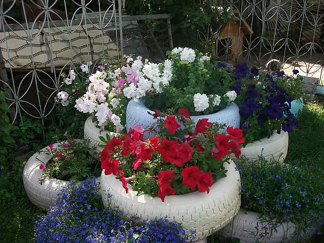 Schöne Blumenbeete und Blumenbeete im Land mit ihren eigenen Händen + Foto und Video 509_25