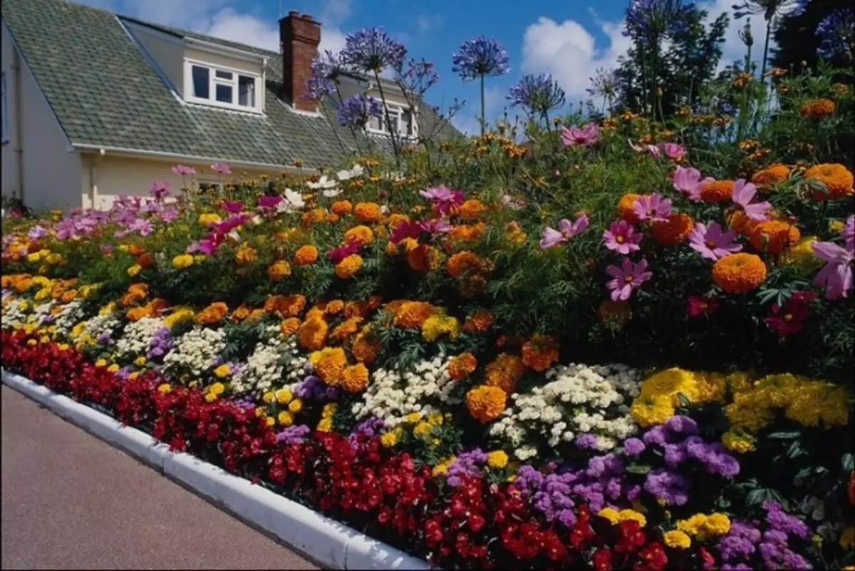 Vakre blomsterbed og blomsterbed i landet med egne hender + foto og video 509_4