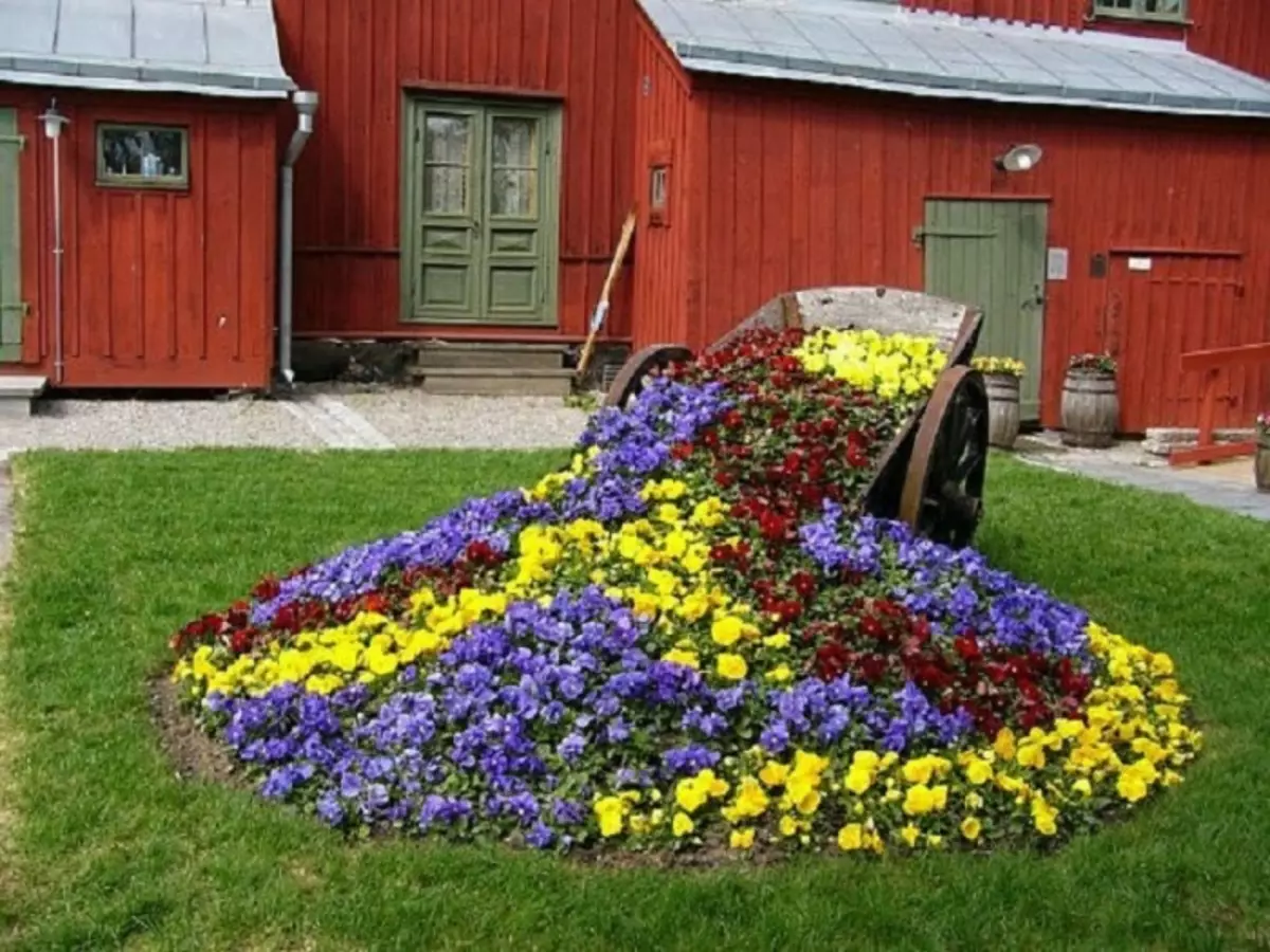 أسرة الزهور الجميلة وأسرة الزهور في البلاد بأيدها + الصورة والفيديو 509_5