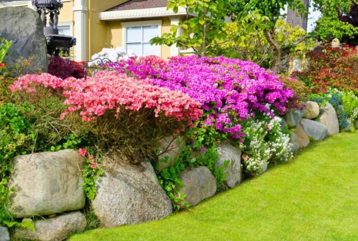 Vakre blomsterbed og blomsterbed i landet med egne hender + foto og video 509_56