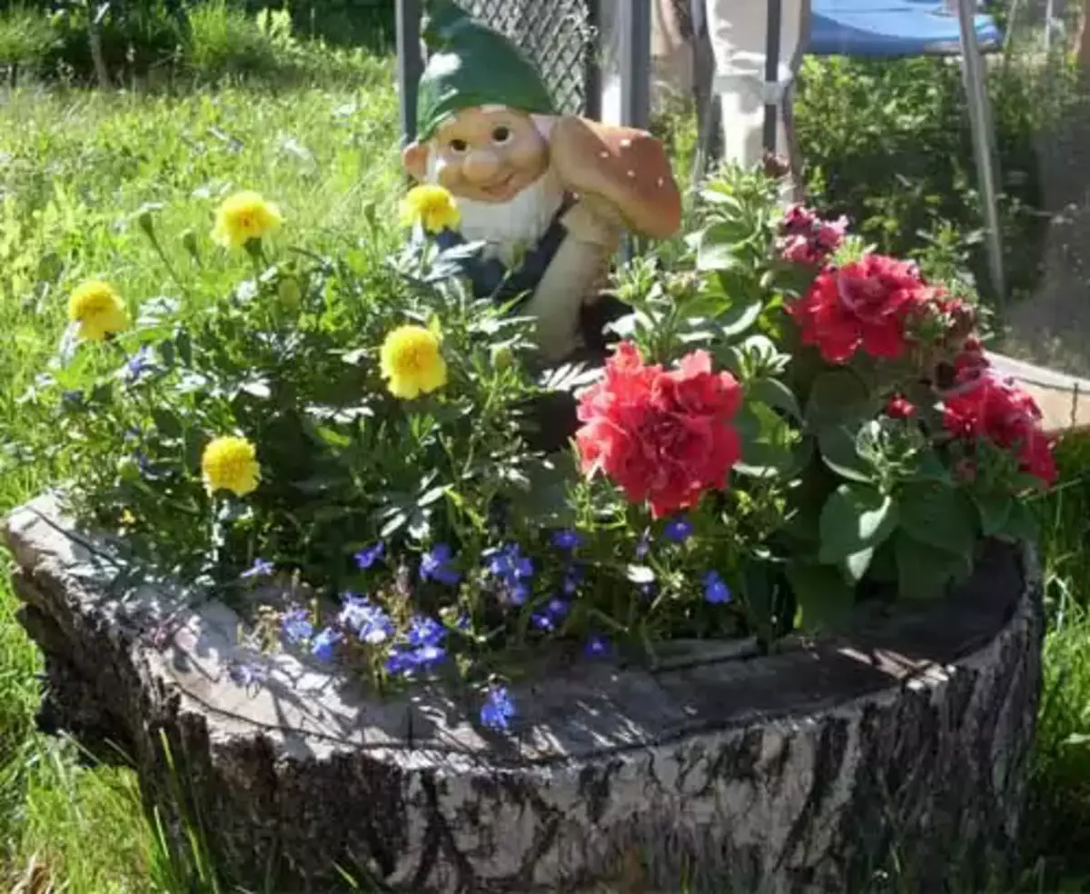 Schöne Blumenbeete und Blumenbeete im Land mit ihren eigenen Händen + Foto und Video 509_65