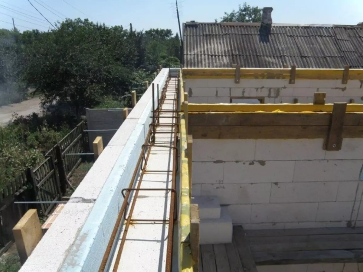 Havalandırılmış bir beton evinde aropolar 5375_13