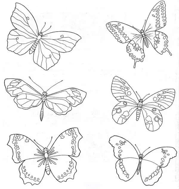 Papieren vlinders op de muur: stencils, sjablonen, masterclass 5518_2