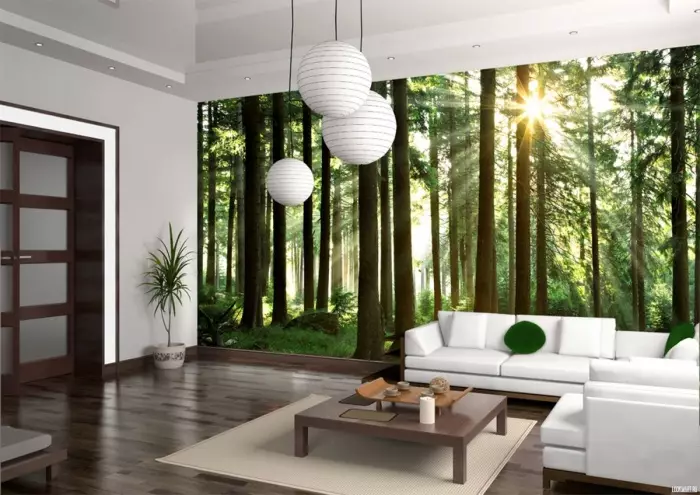 3D-wallpapers voor woonkamermuren + foto 5590_7