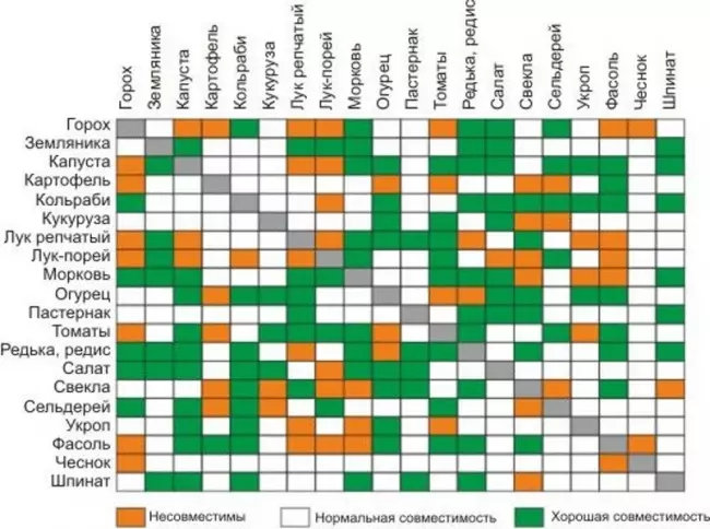 Landskabsdesign af et plot med en have 5934_6