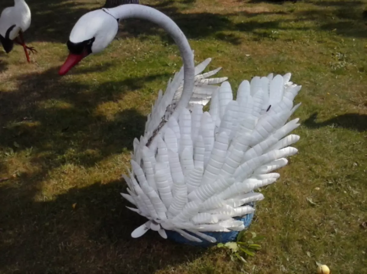 Bottle Plastic Swan: darasa la bwana 5943_15