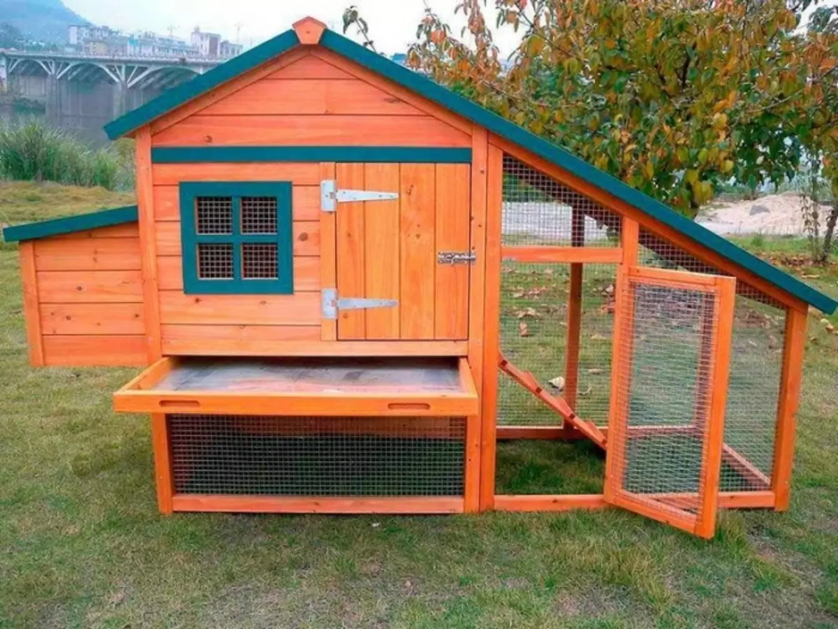 Chicken Coop b'idejha 6019_1