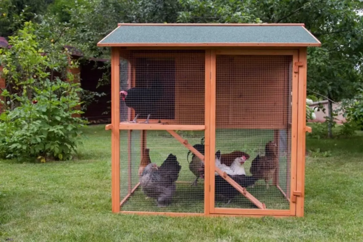 Chicken Coop b'idejha 6019_12