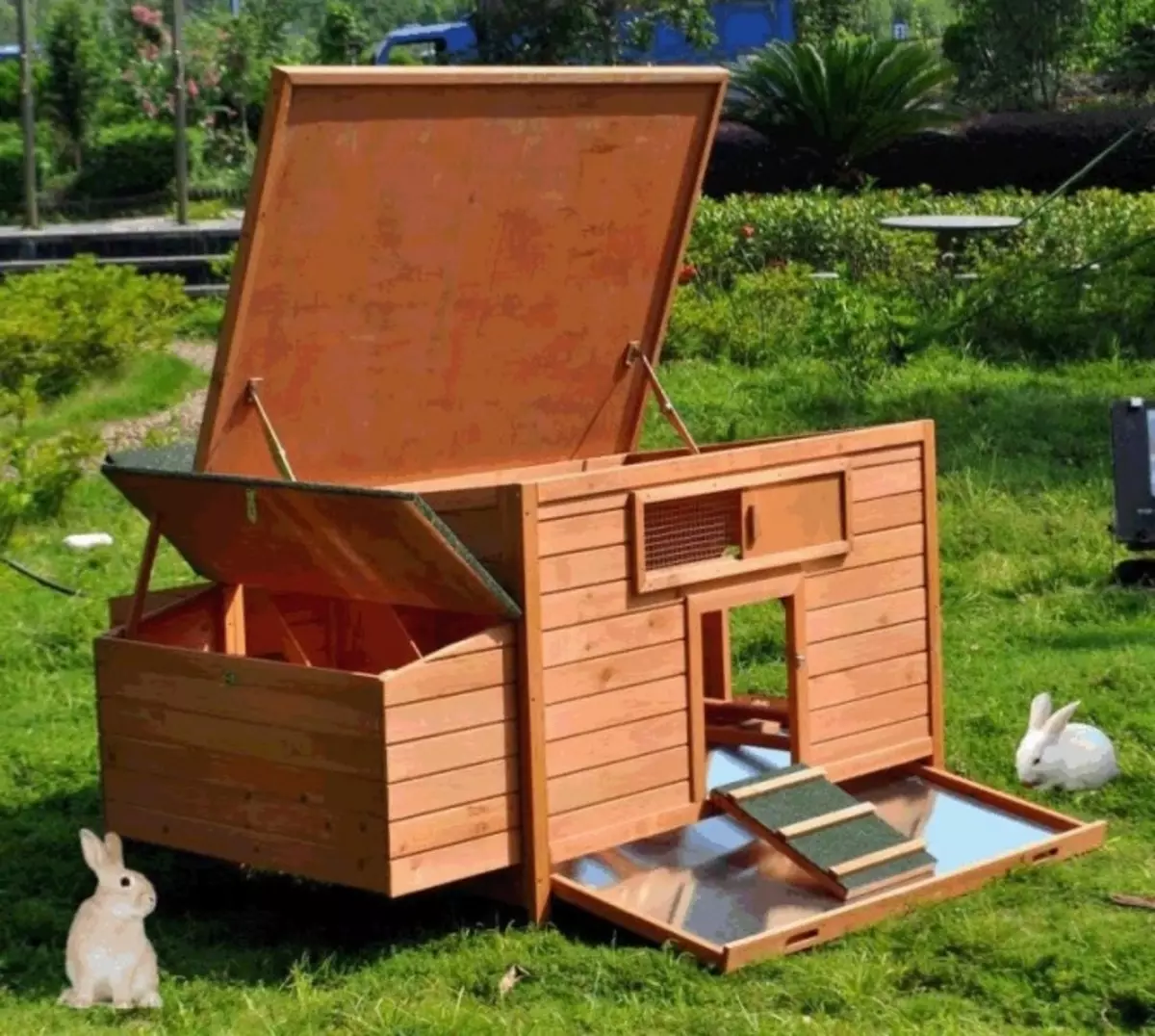 Chicken Coop b'idejha 6019_3