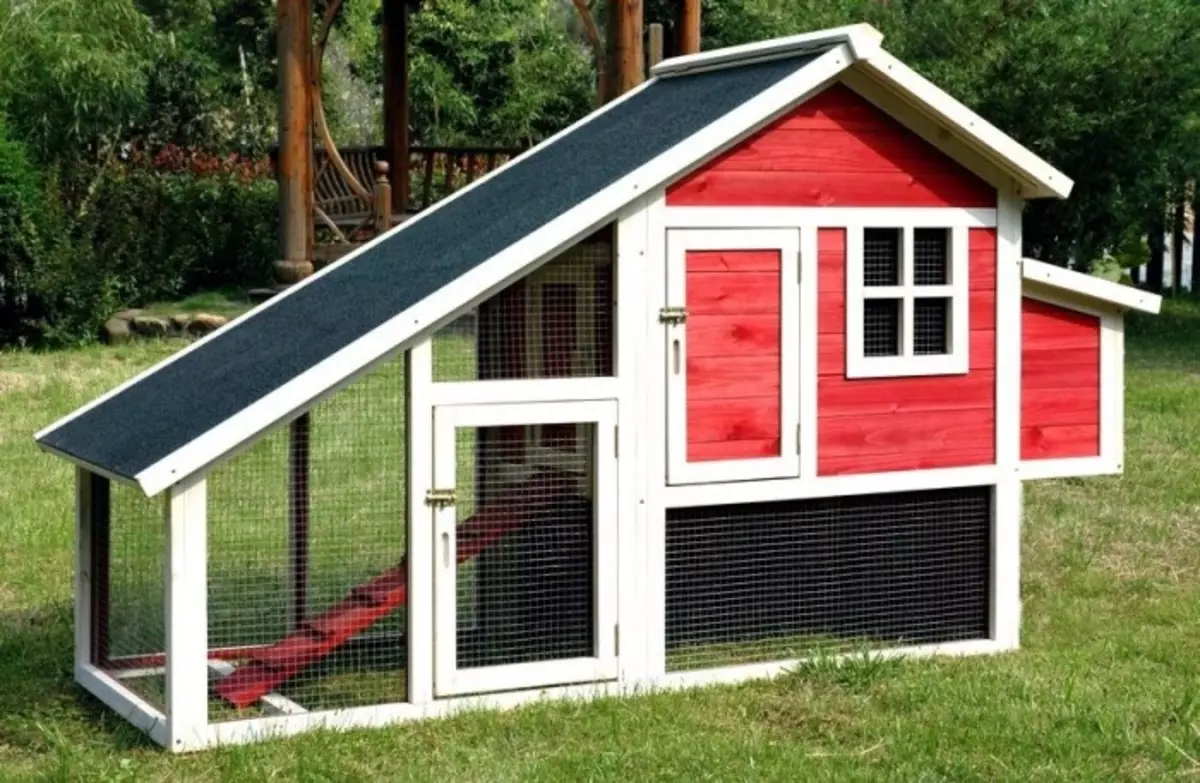 Chicken Coop b'idejha 6019_4