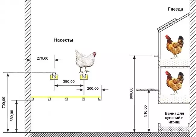 Vištienos coop su rankomis 6019_8