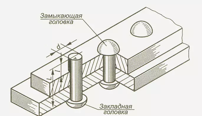 Як rivet барои розетаҳои рости худ бо дасти худ 6220_2