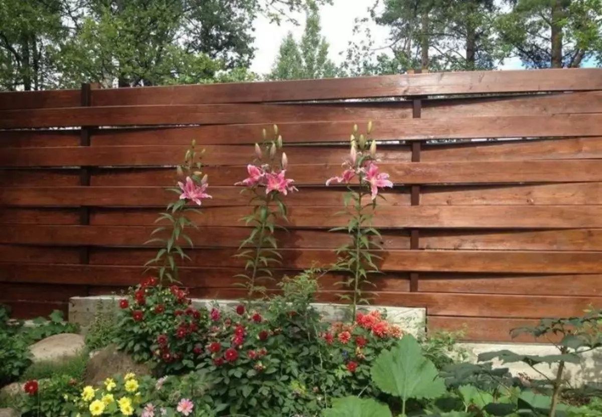 Gard din lemn împletit din panouri 636_10