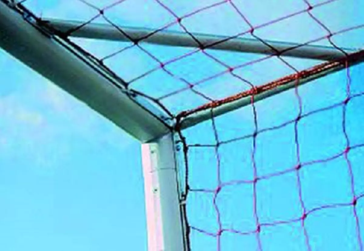 Futbol Gate: Standards, Parametri, Ċertifikati 6759_4