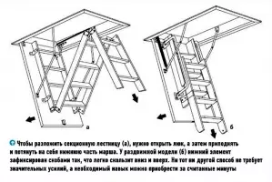 зинапоя