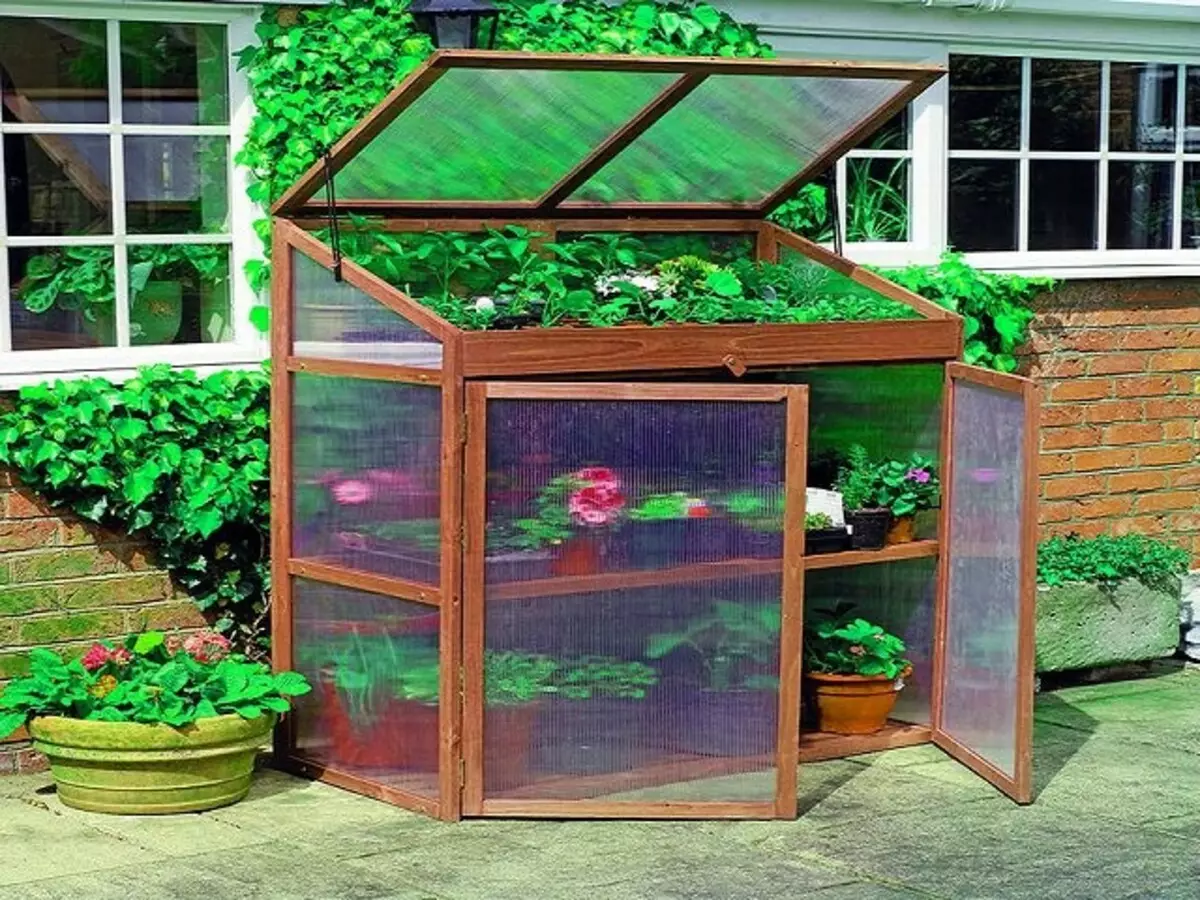 Mini Greenhouse 6896_2