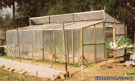 Mini Greenhouse. 6896_5