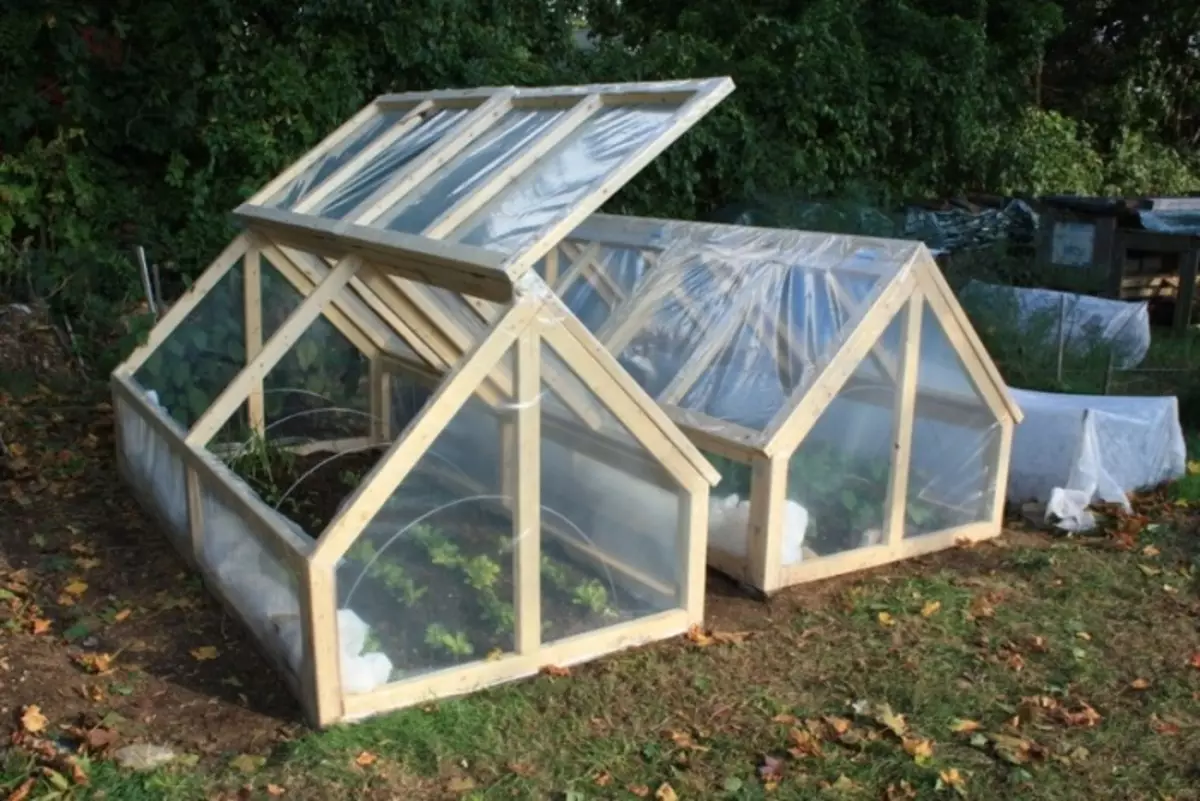 Mini Greenhouse 6896_6